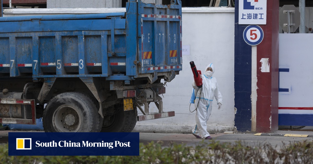 China’s transport restrictions have upended goods trade, Premier Li ...