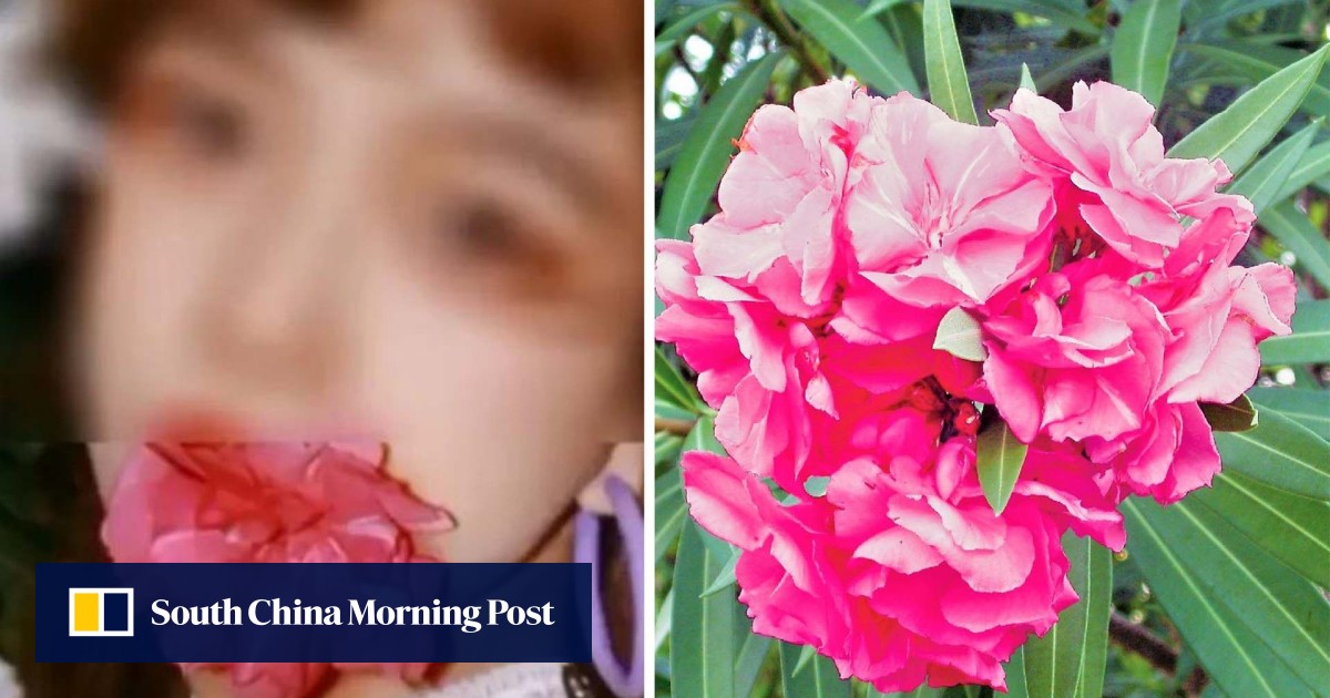 ‘Charming danger’: Chinese social media meltdown as 290 million view ...