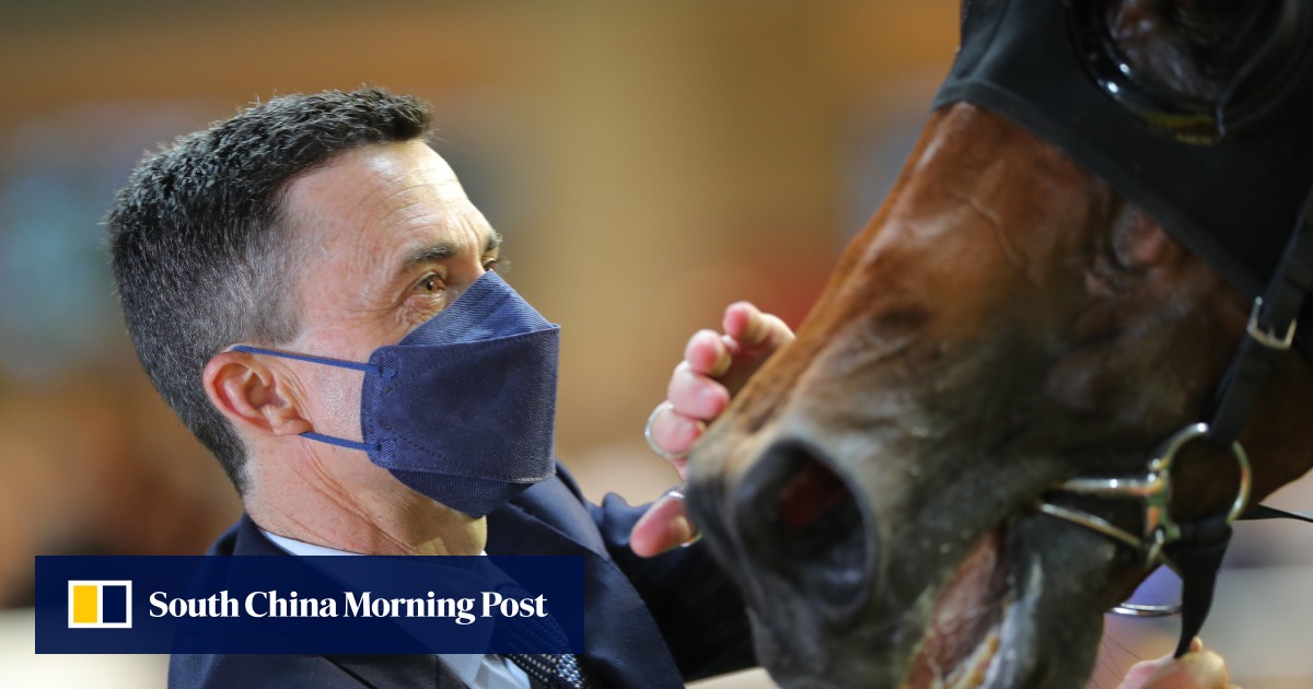 Douglas Whyte looking to match last season’s haul with more Group ...