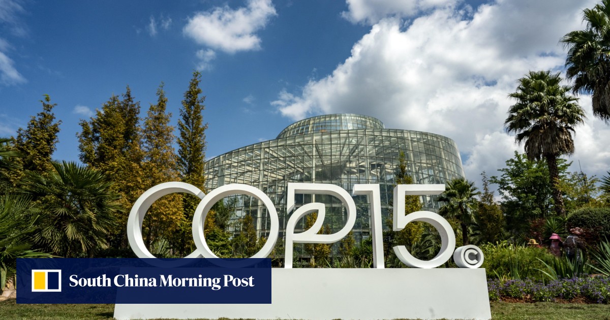 Cop 15: UN Biodiversity Conference set to move from China to Canada ...