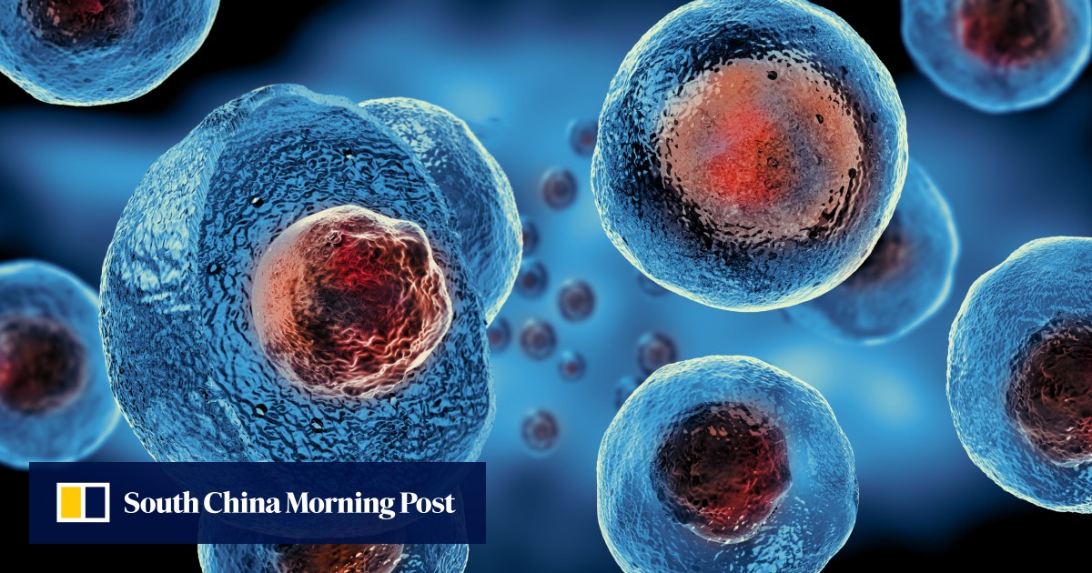 ‘It can create life’: Chinese team claim stem cell breakthrough in mice ...