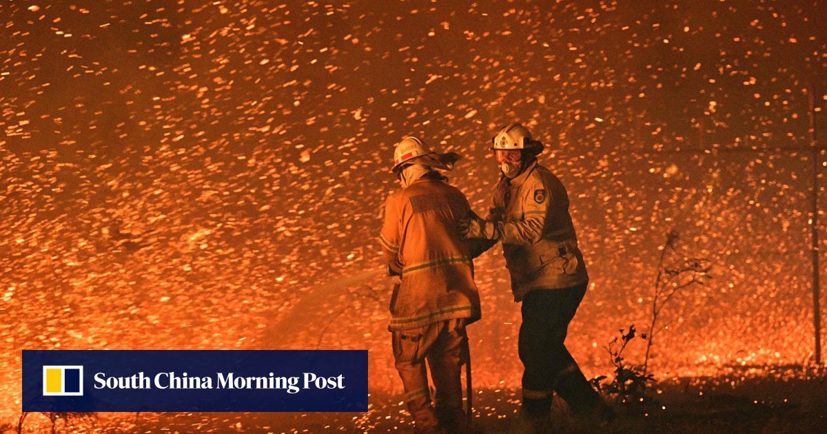 Australia’s ‘utter failure’ on conservation, environment exposed in ...
