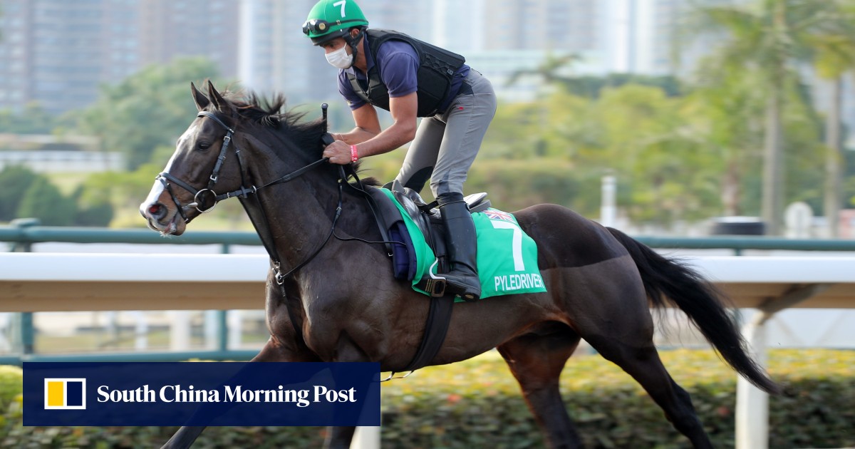 King George provides fascinating clash at Ascot | HK Racing | South ...