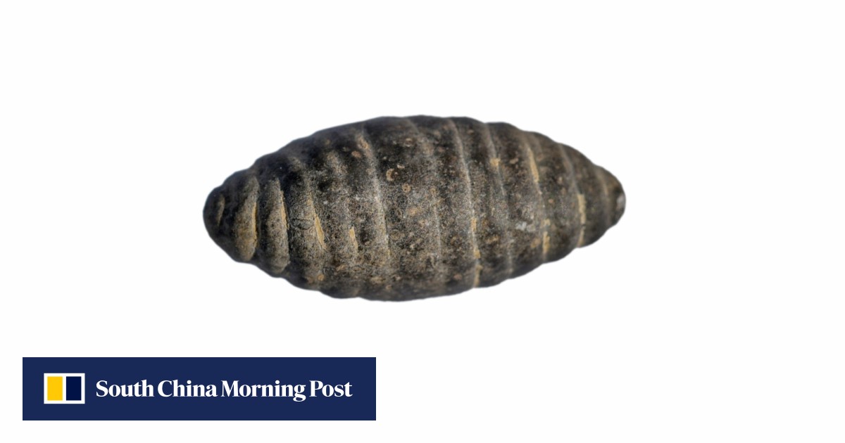 A 5,200-year-old stone-carved chrysalis provides window into the ...