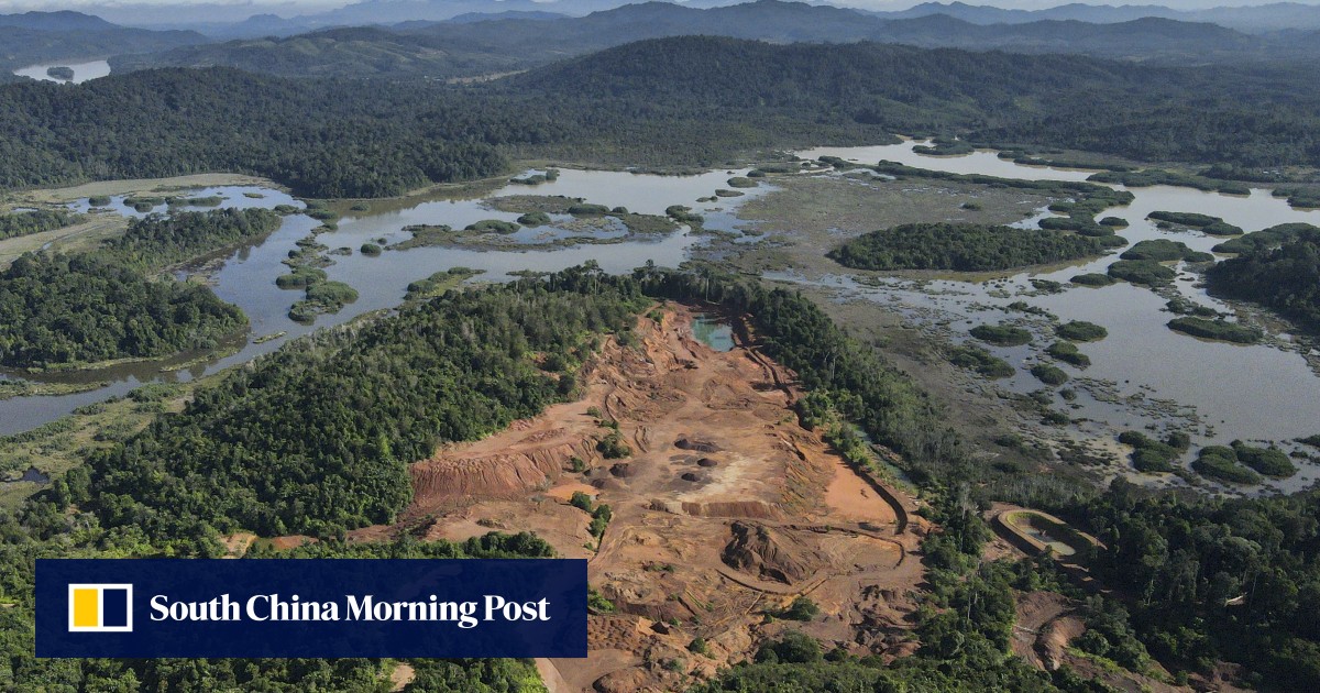Malaysia’s Tasik Chini risks being stripped of its Unesco status unless ...