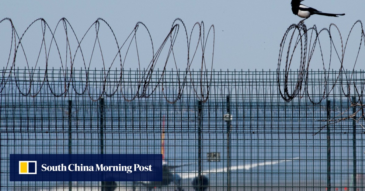 Chinese scientists build bird-zapping laser to guard airports | South ...