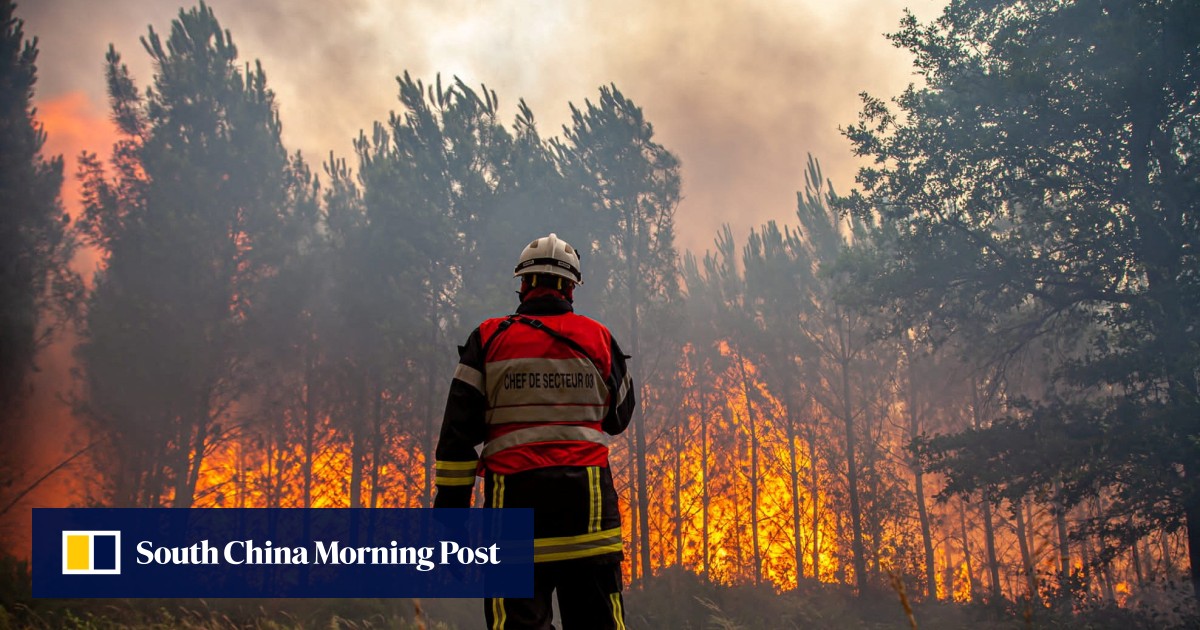Arson suspected as huge French wildfire reignites, forcing thousands ...