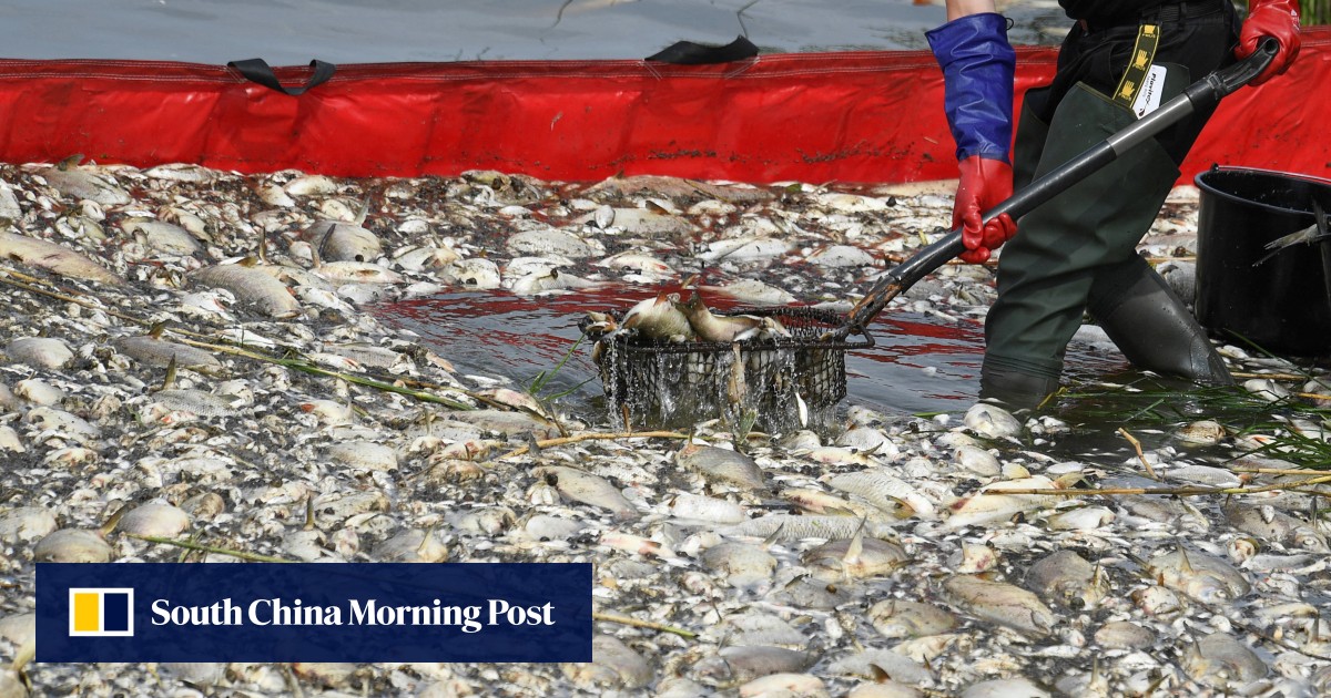 river oder contamination