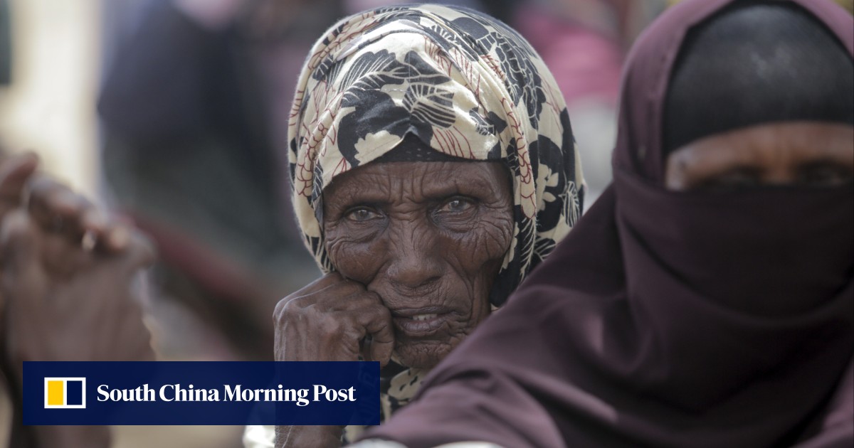 US to buy Ukraine grain to help feed hungry world, China should help ...