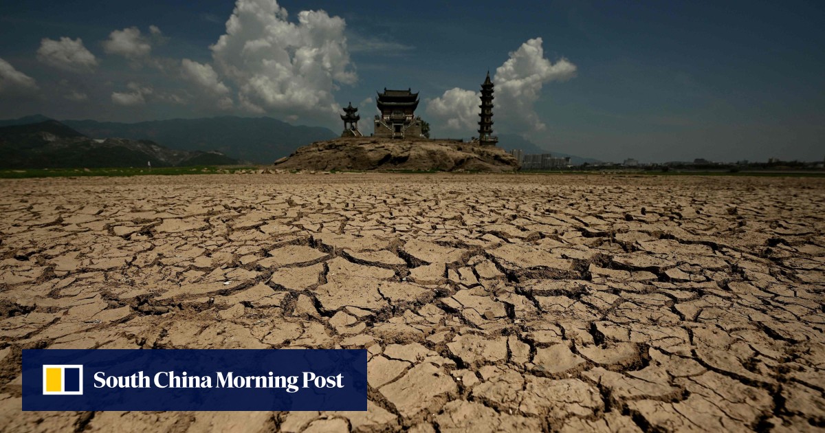China heatwave and drought: digging after dark to feed crops as largest ...