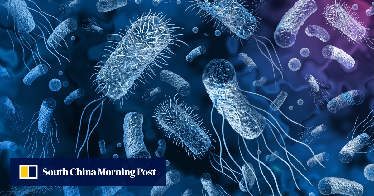 Superbug on the rise: Hong Kong University researchers call for ...