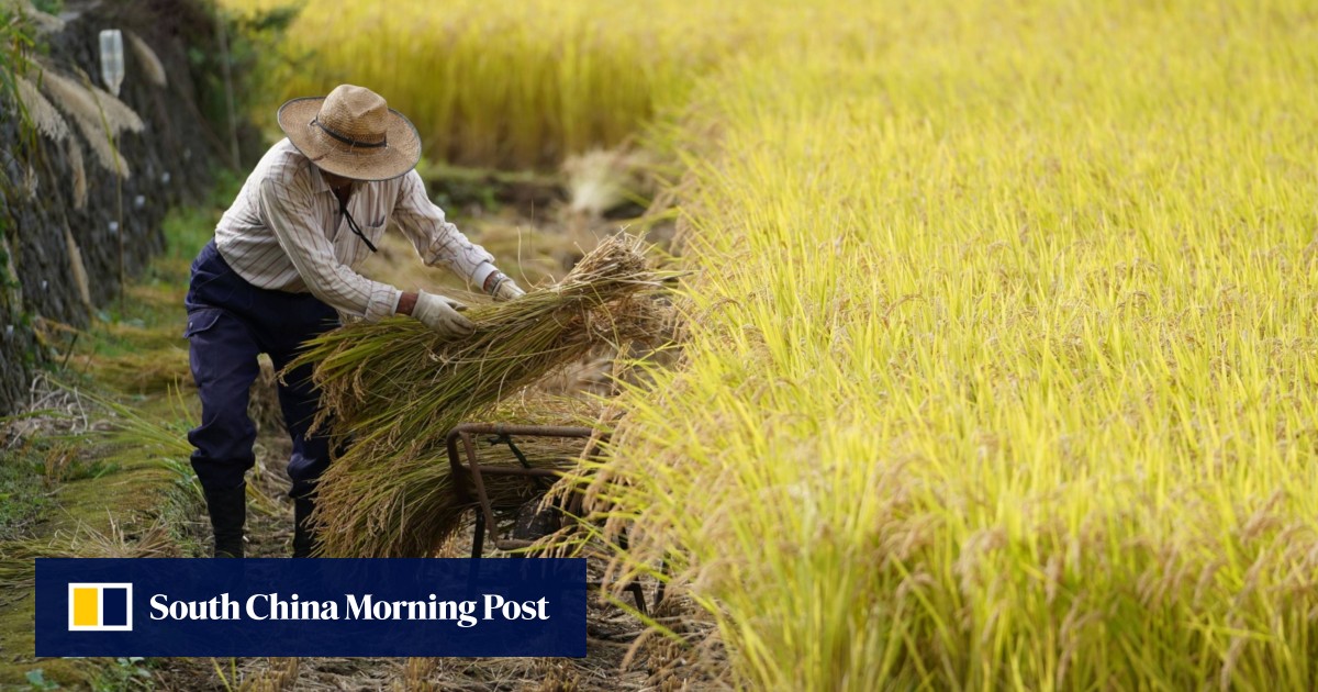 In Japan, changing diets raise ‘famine’ fears as food – and Taiwan ...