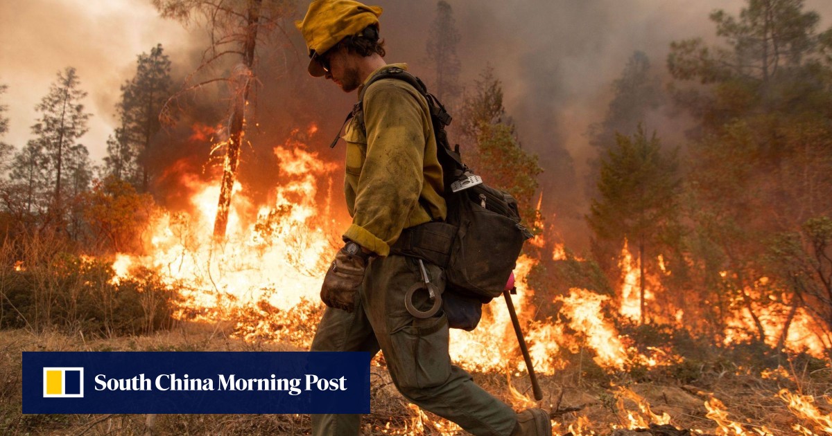 New wildfire spreading in central California mountains | South China ...