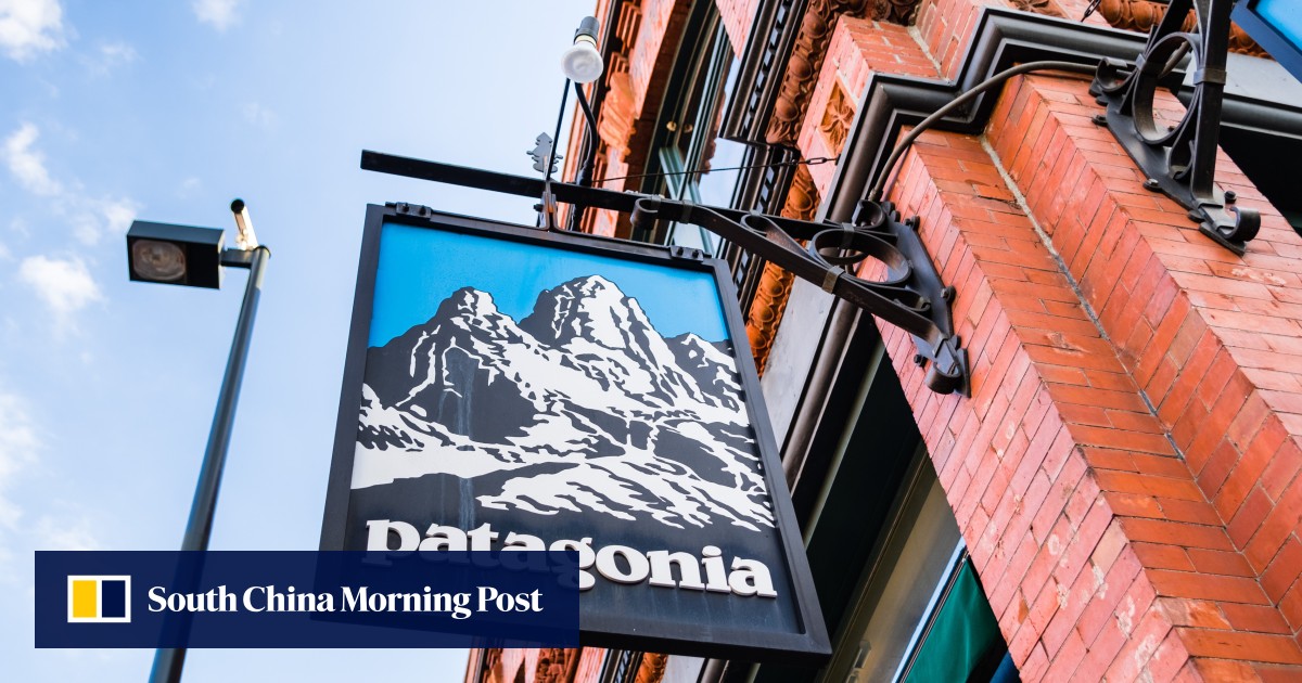 Patagonia founder gives away his US$3 billion company to help climate ...