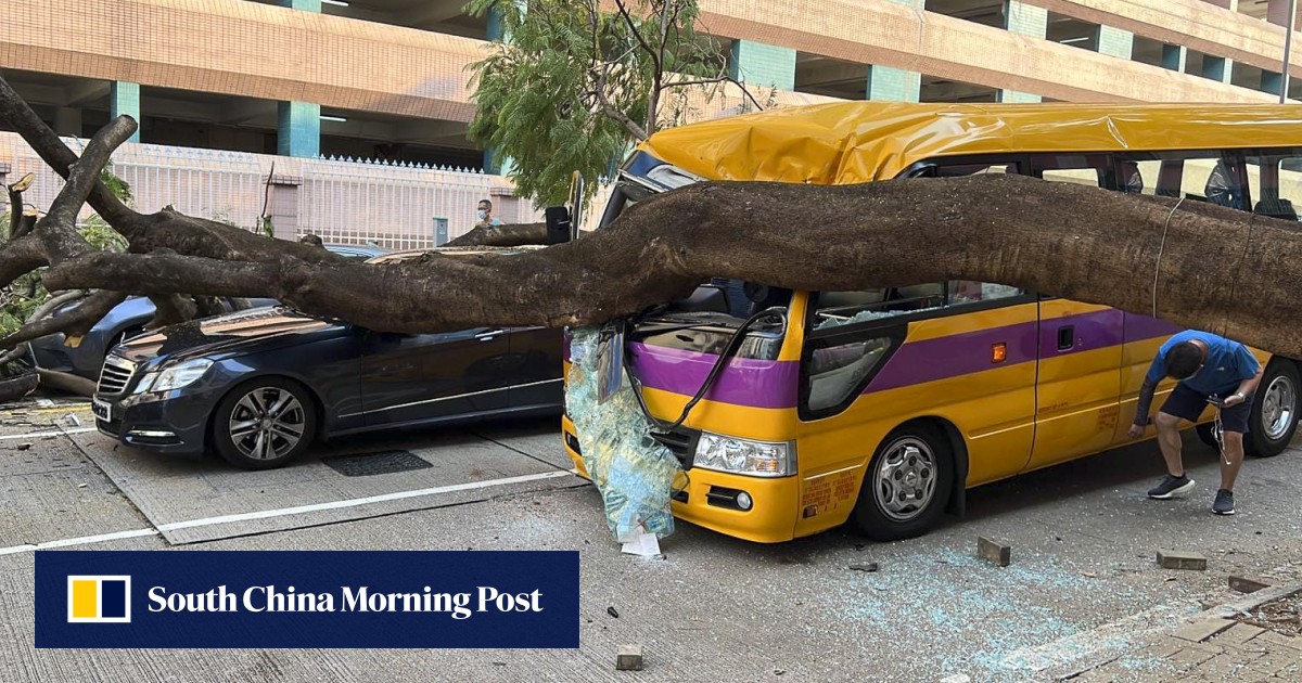 Tree crashes onto school bus and cars in Hong Kong, driver and ...