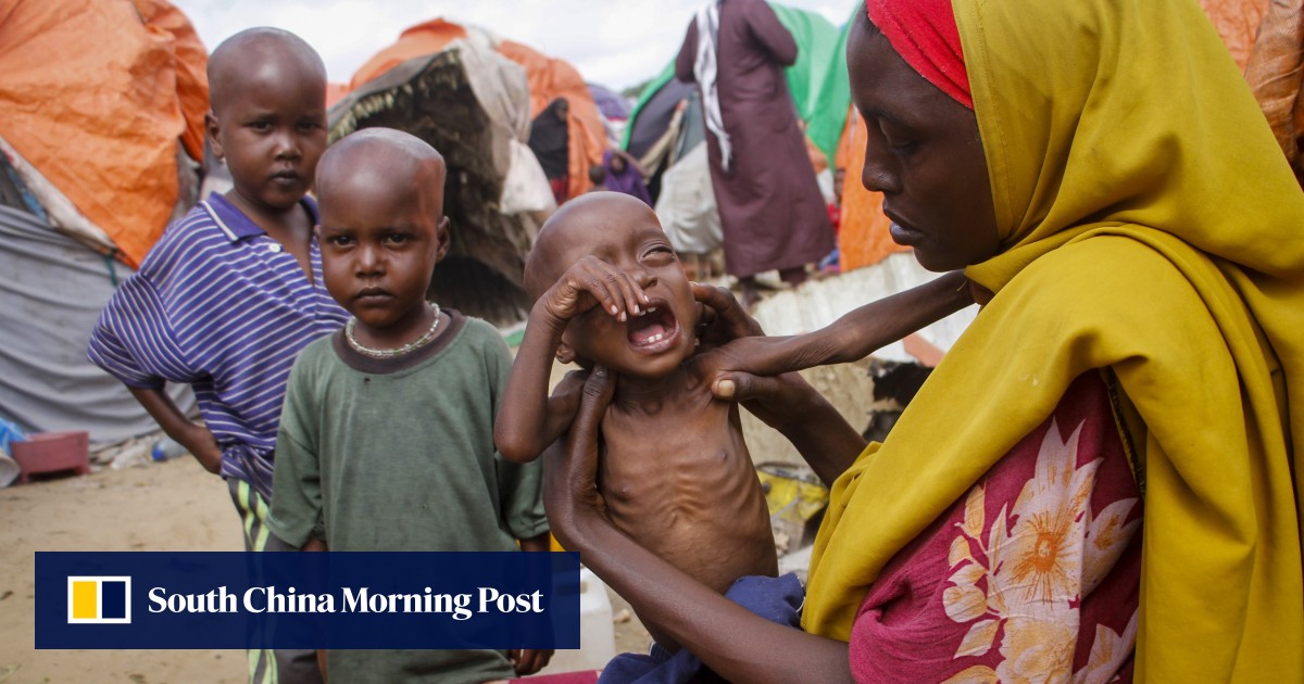 UN warns up to 345 million people marching towards starvation | South ...