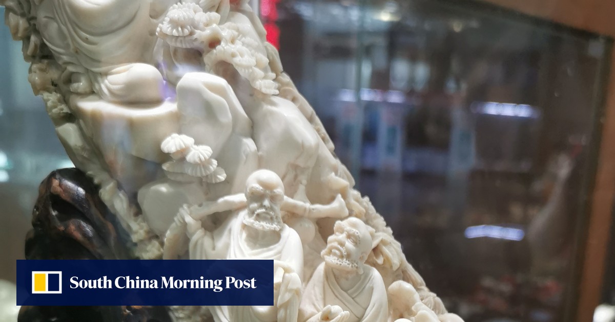 HKU scientists develop quick test to tell elephant and mammoth ivory ...