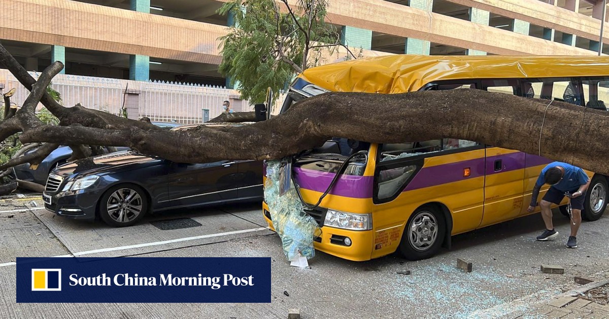 Hong Kong Development Chief Vows To Review Policy After Tree Crashes