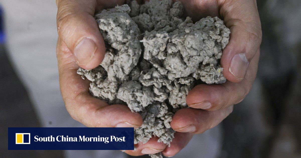 Letters | Will Hong Kong let its only carton recycler join the brain ...