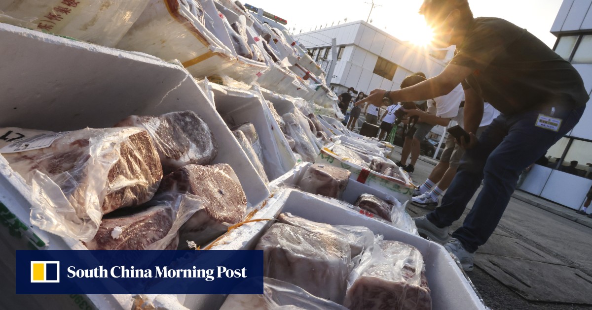 Hong Kong Authorities Seize More Than 31 Tonnes Of Wagyu Beef Worth Hk