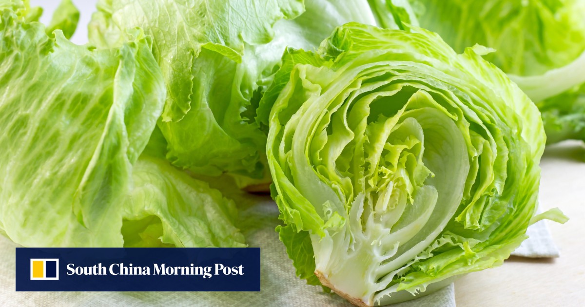Our lettuce outlasted Liz Truss, British paper declares, as PM quits ...