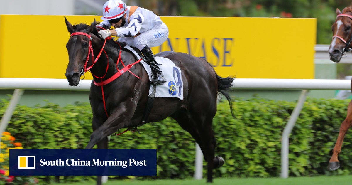 One-time Wonder returns to the fold as Sweynesse steps up to Group company | HK Racing | South ...