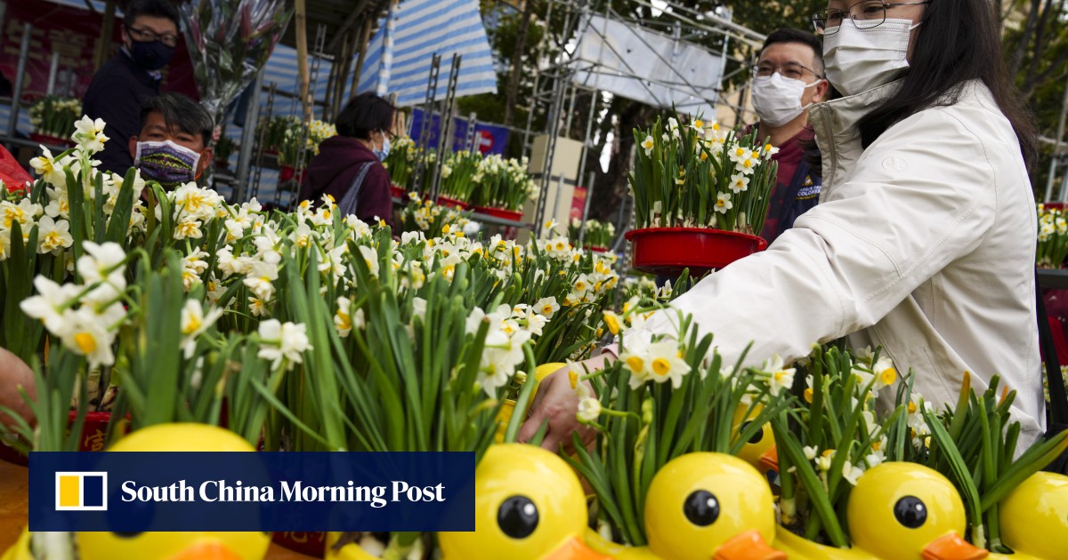 Hong Kong bans dry goods stalls at Lunar New Year fair for fourth year ...