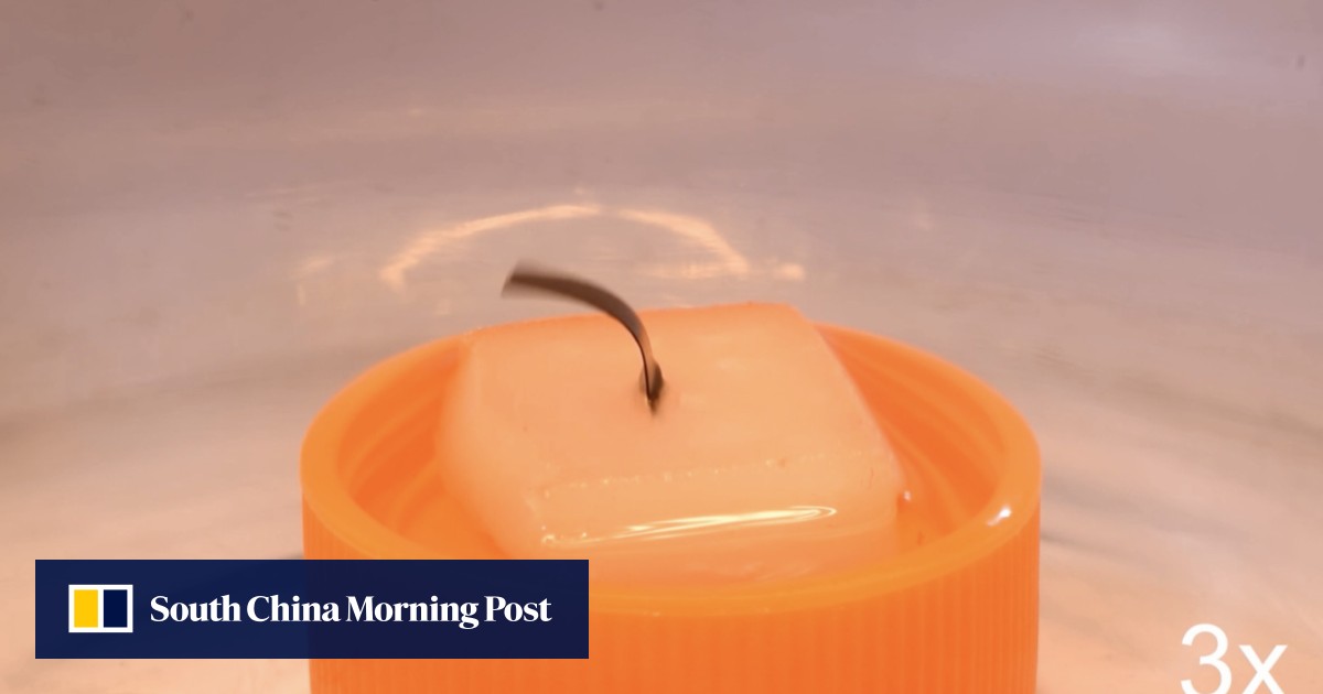 Chinese scientists say their new ‘shivering muscle’ converts sunlight ...