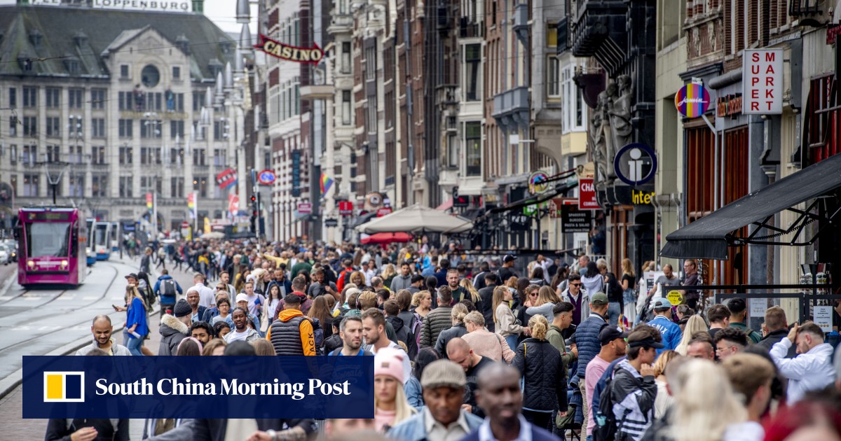 Dutch government investigating reports Chinese police operate illegally ...