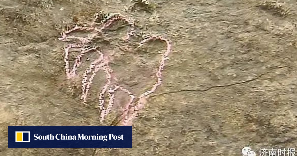 Fossilised footprints in China’s ‘dinosaur city’ shed light on 100 ... Fossilised footprints in China’s ‘dinosaur city’ shed light on 100 ...