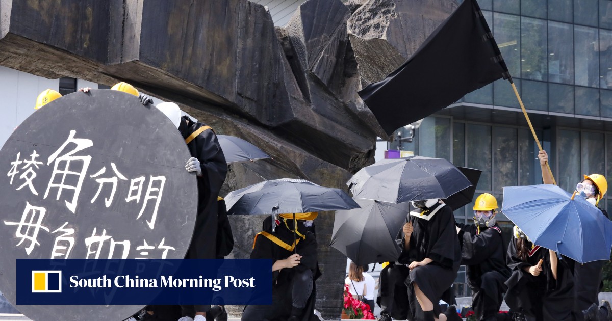 Hong Kong Protests Man 20 Admits Taking Part In Illegal