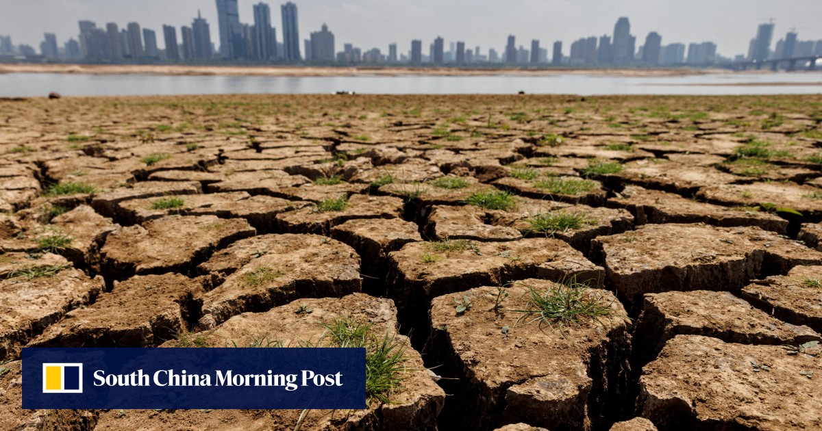 COP27: China’s top climate envoy calls on rich countries to support ...