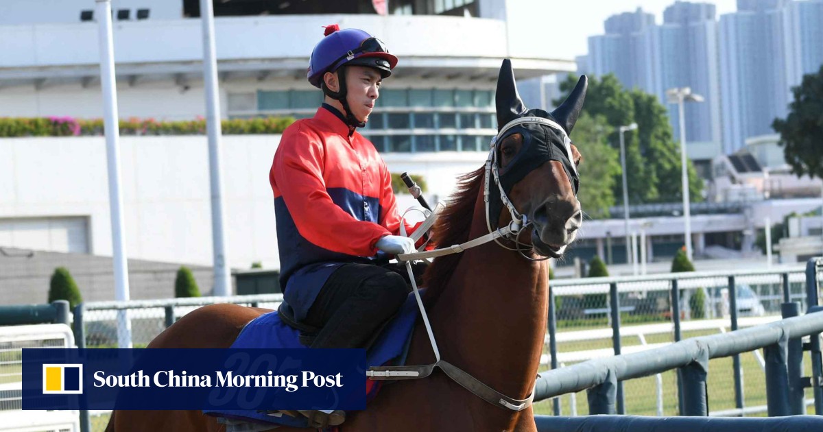 Angus Chung thinking Happy thoughts about Australian adventure ahead of ...