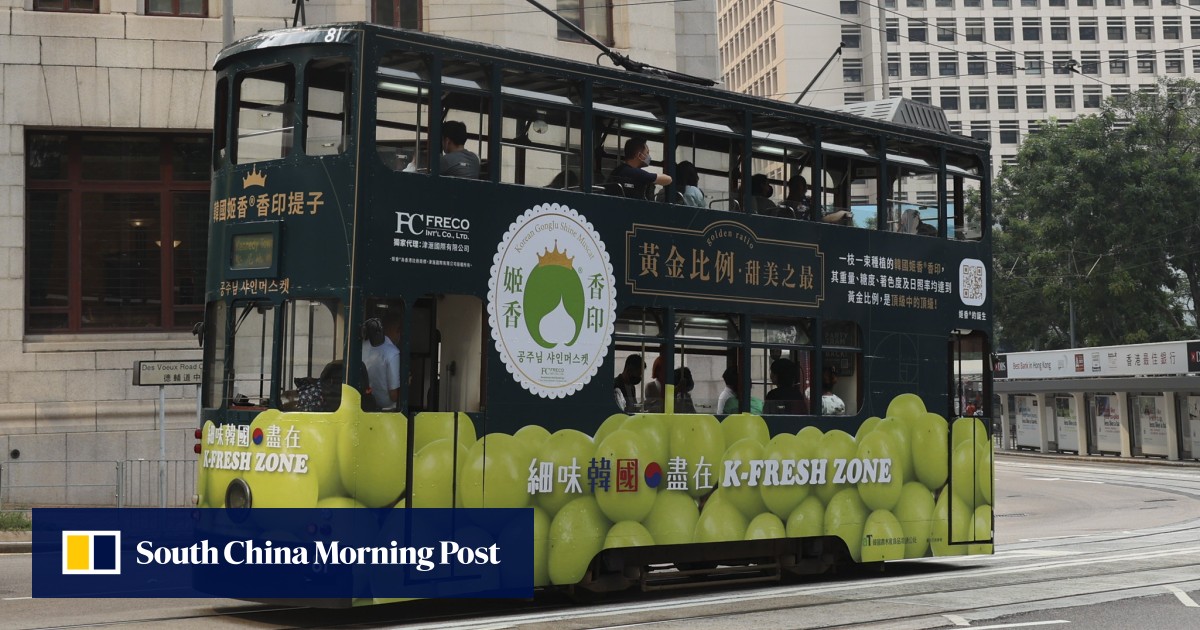 Which country produces the best Shine Muscat grapes – China, Japan or South Korea – and why are ...