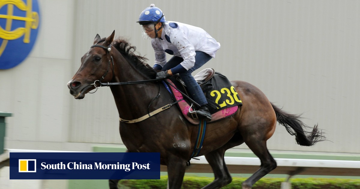 Golden Sixty tells Vincent Ho ‘not today, mate’ in final trial before ...