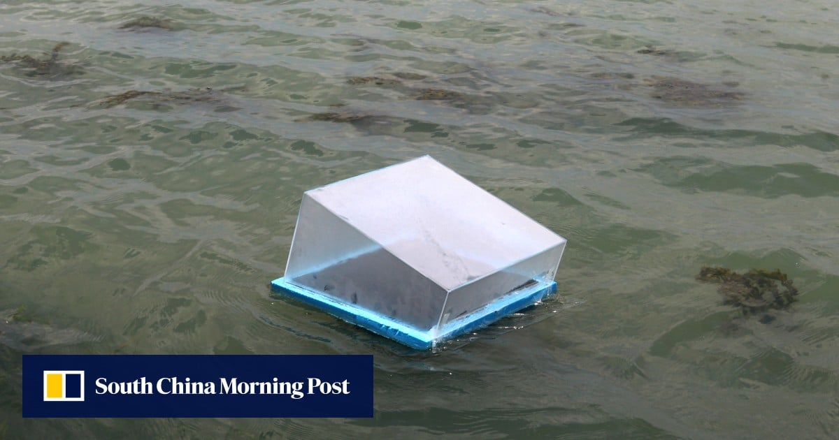 Chinese scientists combine water purification with electric power ...