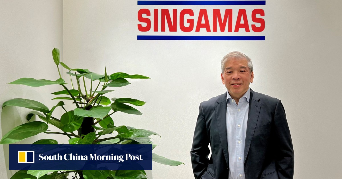 Singamas sees high growth and good business opportunities thanks to ...