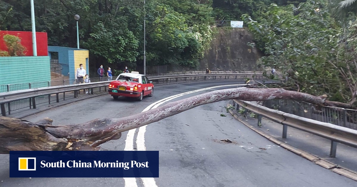 Narrow escape for Hong Kong taxi driver, passenger after 9-metre-tall ...