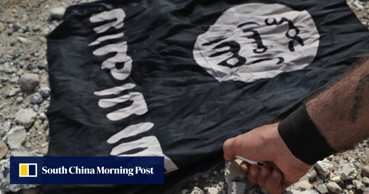 Islamic State says leader killed in battle, announces replacement ...
