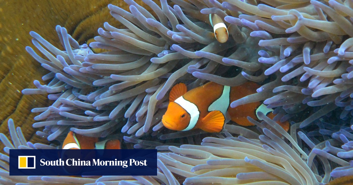 Climate change: aid to natural ecosystems must grow to US$384 billion ...