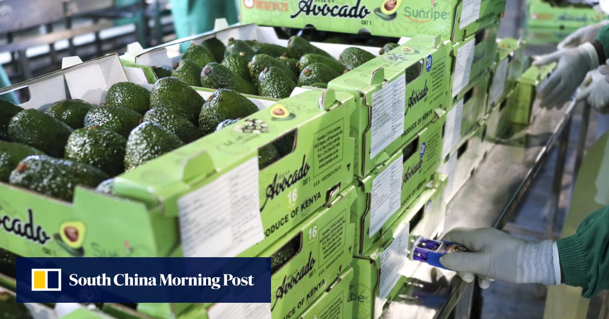 How China’s moves to balance African trade are being driven by a taste ...