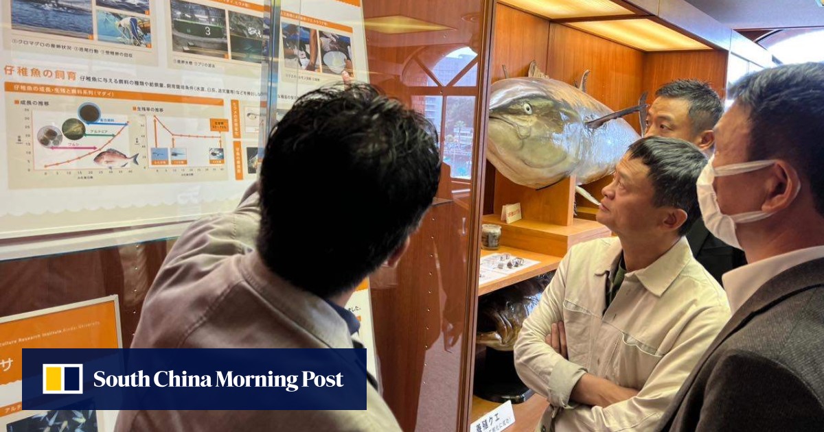 Jack Ma gives up title at Zhejiang guild as Alibaba founder keeps up ...