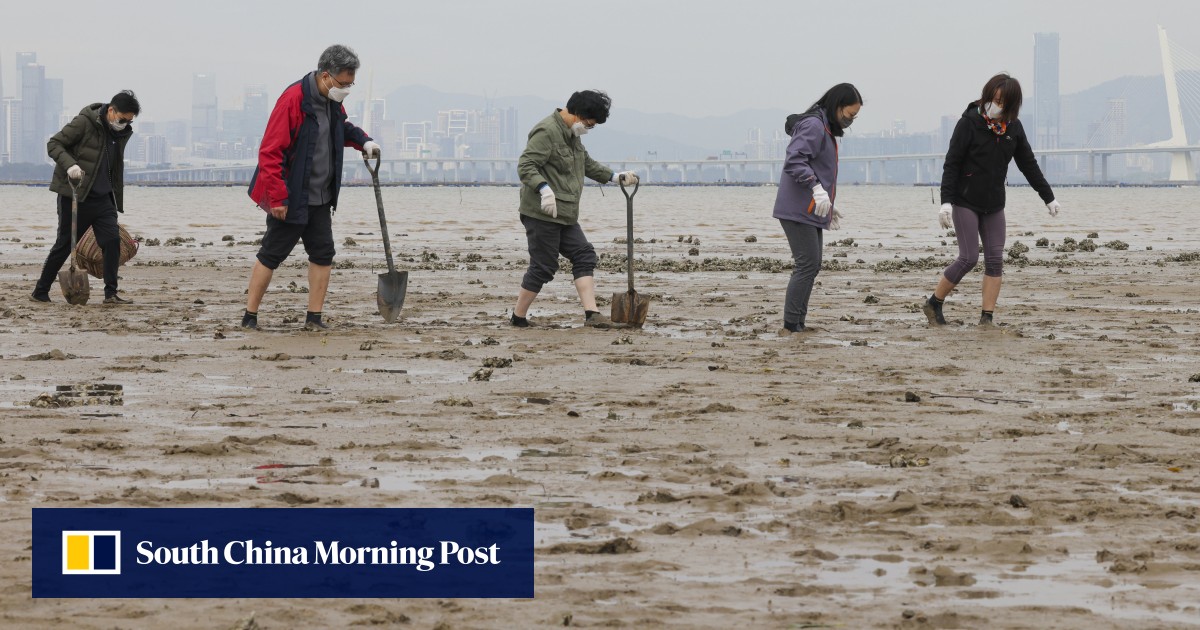 Call To Mark 800 Hectares In Northwest Hong Kong As Marine Reserve To