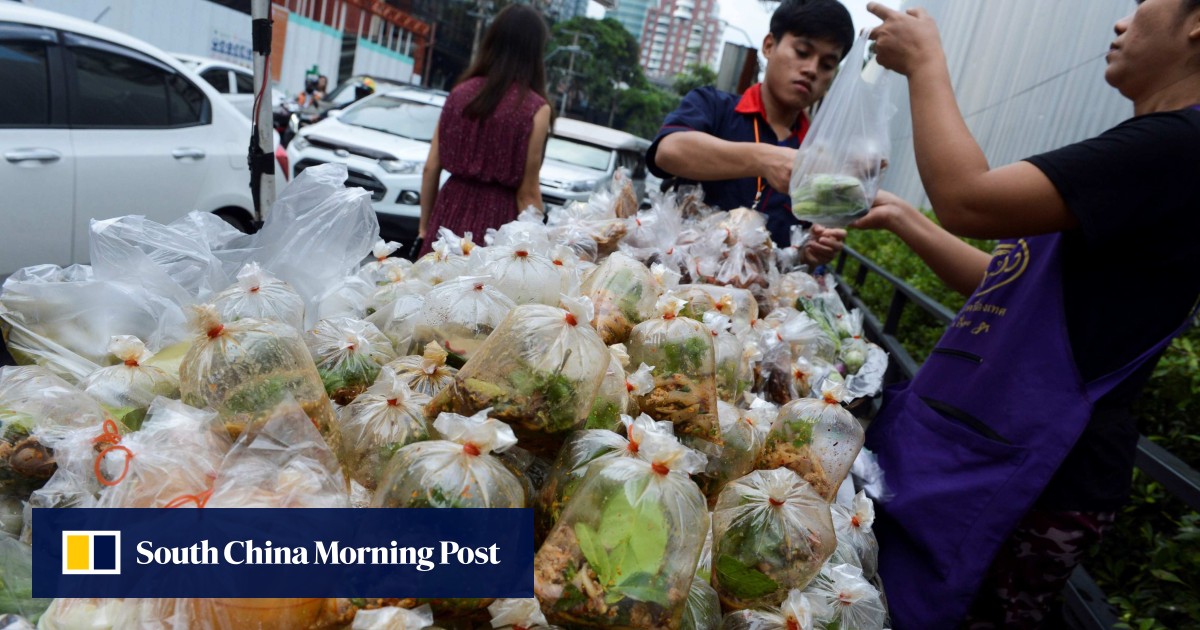 Thais and Chinese team up to localise technological solutions | South ...