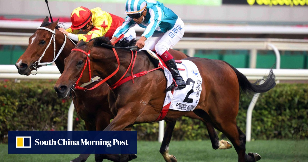 What could a Romantic Warrior v Golden Sixty v California Spangle ...