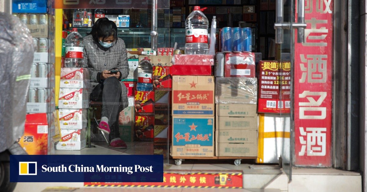 China’s economy set for ‘painful, bumpy’ road amid zero-Covid exit as ...