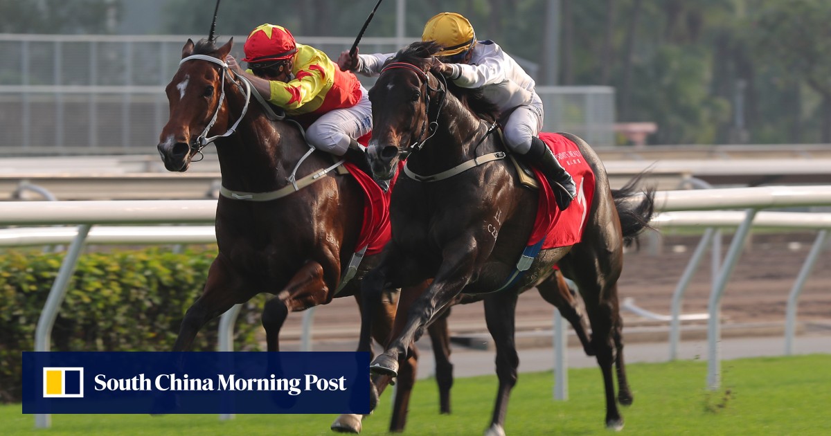 Form analyst tips Golden Sixty to be the Stewards’ Cup outsider of the ...