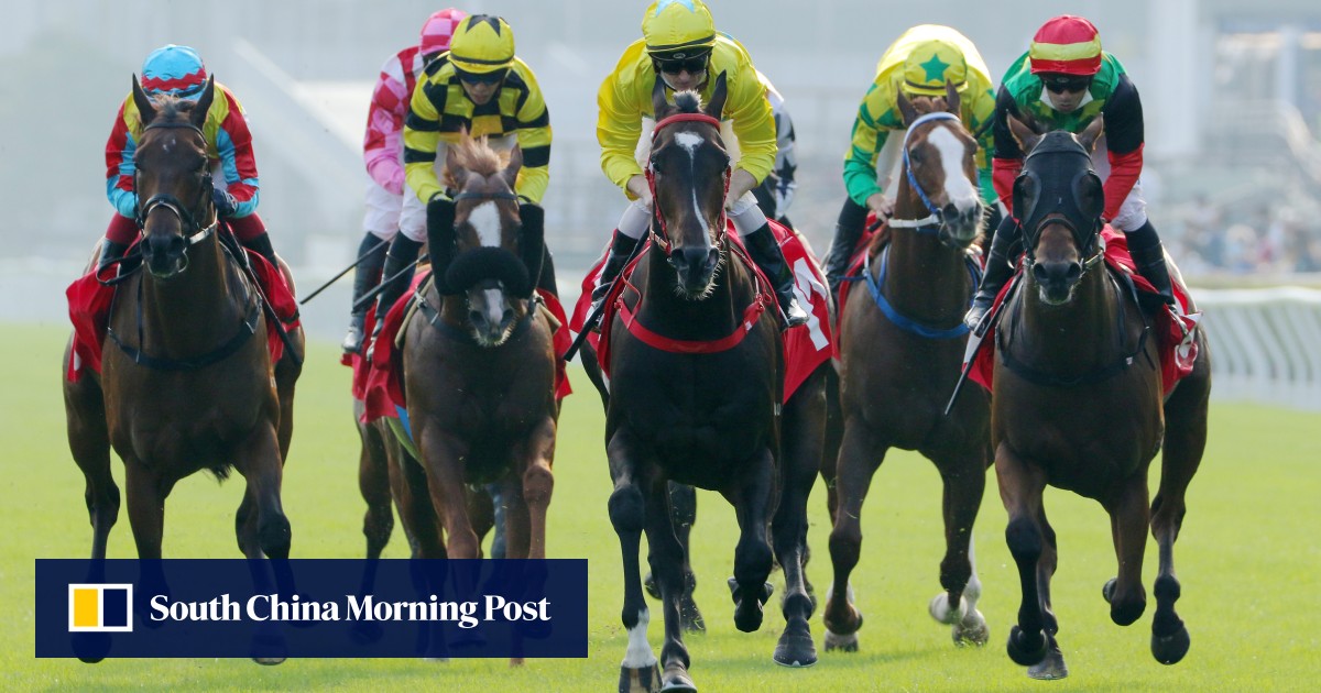 That was the year that was 2022 in Hong Kong racing | HK Racing | South ...