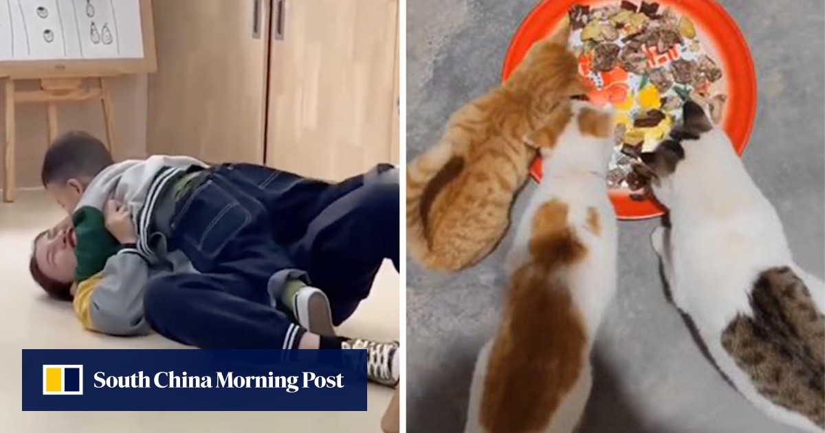 Love and courage in China: boy kisses teacher who praises him, cat ...