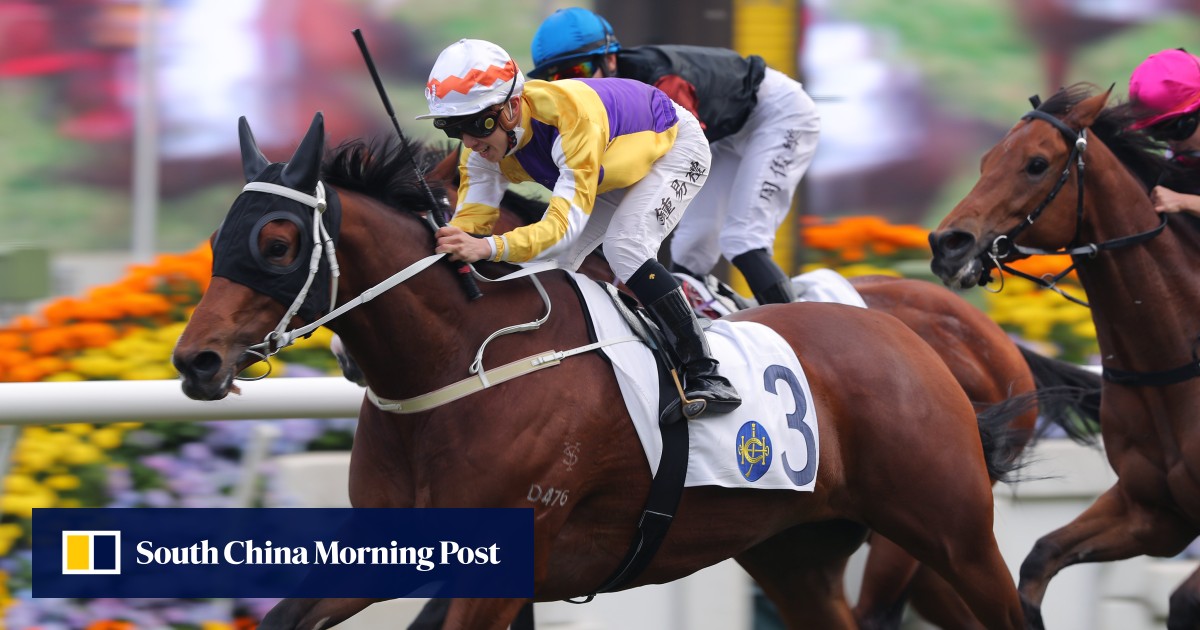 Angus Chung snares biggest win of his career with Ima Single Man | HK ...